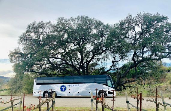 Pegasus Transit - Visit Camarillo